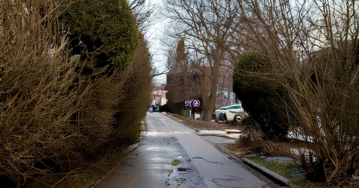 Rückschnitt von Sträuchern entlang von Straßen und Gehwegen – Gemeinde ...